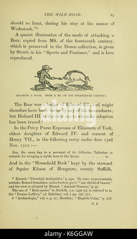 British animals extinct within historic times (Page 75) BHL17765514 ...