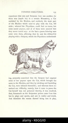 Curious creatures in zoology (Page 333 Stock Photo - Alamy