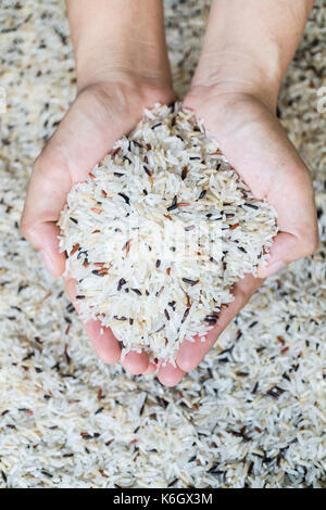 Human hand holding jasmine rice and brown rice Stock Photo - Alamy