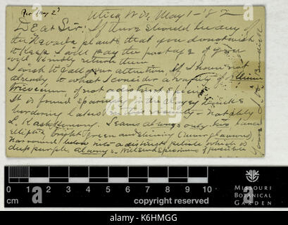 Correspondence - Burdick (Justin) and Engelmann (George) (Jun 03, 1881 ...