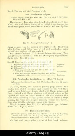 Catalogue of the Lepidoptera Phalænæ in the British museum (1903 ...