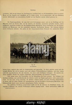 Java Man or Pithecanthropus erectus (Homo Erectus erectus). Early human ...