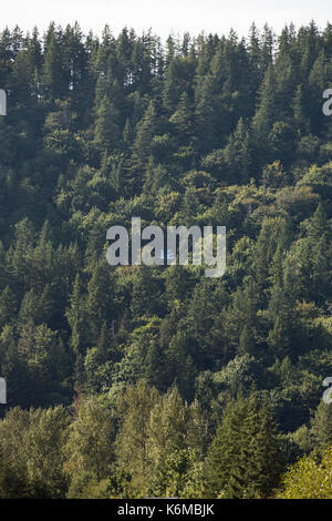 The 12th Man sign above the interstate 90 in Washington state Stock ...