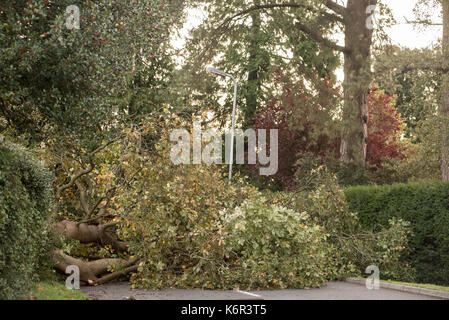 Cardiff, UK. 13th Sep, 2017. 17-09-13 . Cardiff, Wales, UK. Storm ...
