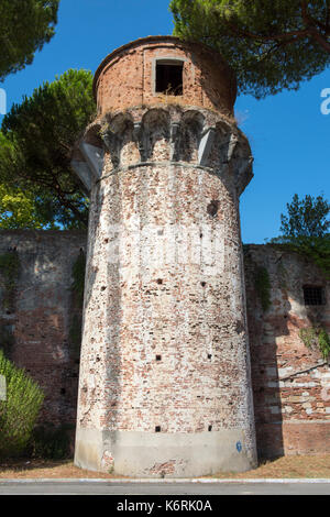 cittadella / fortress / castle in pisa (tuscany Stock Photo - Alamy