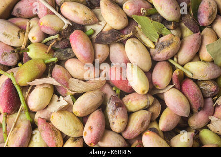 Pistachio of Bronte, Sicily Stock Photo - Alamy