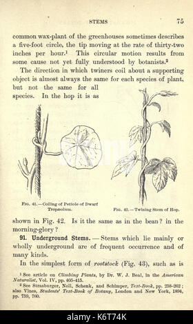 This textbook provides essential botany knowledge for agricultural ...