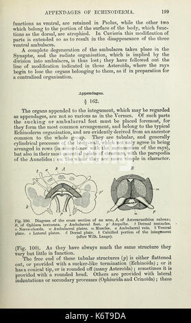 . Elements of the comparative anatomy of vertebrates Stock Photo - Alamy
