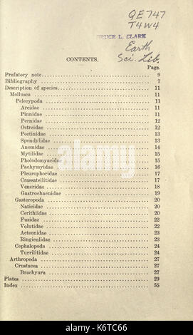 Fauna of the Buda limestone Stock Photo - Alamy