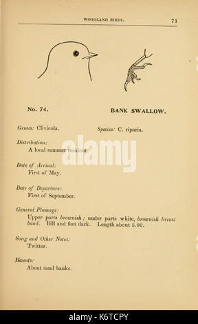 This ornithological guide provides descriptions of every known species ...