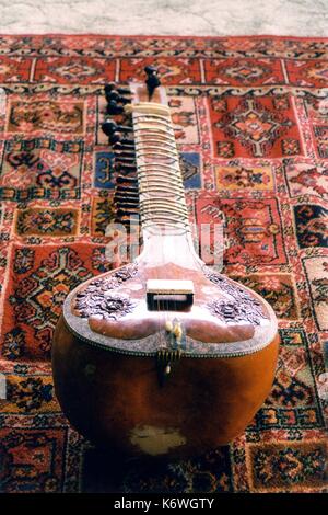 Vina - Indian Instrument Stock Photo - Alamy