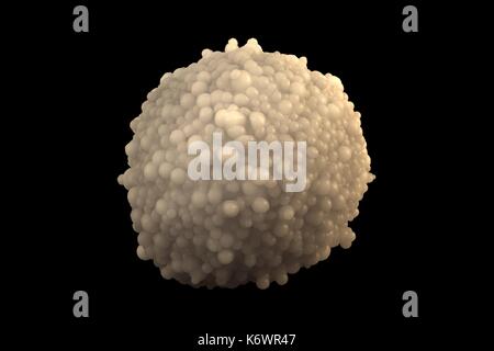 Single Granular Leukocyte isolated on with red blood cells in ...