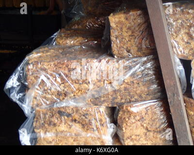 Rubber plantation in Basilan, Philippines Stock Photo - Alamy