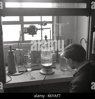 1950s, Britain, historical picture showing a group of agricultural ...