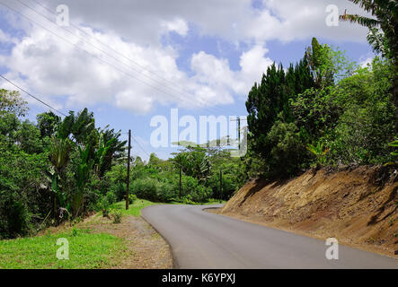 Mountain road at Chamarel National Park in Mauritius Island Stock Photo ...