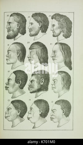 Evolution of life (Plate 30) (8405184969 Stock Photo - Alamy