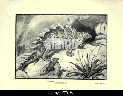 Evolution in the past (Plate 18 Stock Photo - Alamy