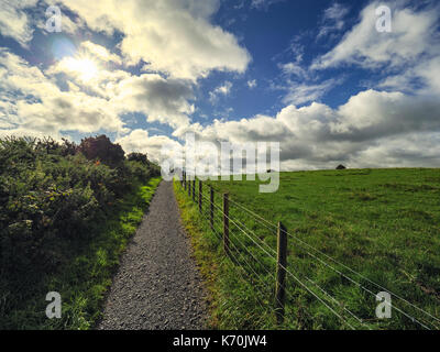summer countryside morning,Northern Ireland Stock Photo - Alamy