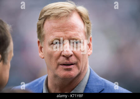 NFL commissioner Roger Goodell stands on the field before an NFL ...