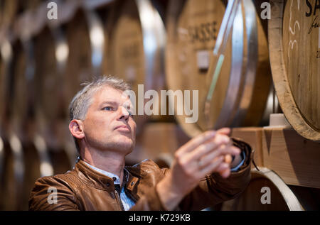 Rüdiger Sasse from the Sasse distillery inspects corn distilled by the ...