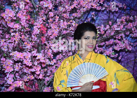 A traditional authentic Japanese Geisha girl dressed in a kimono Stock ...