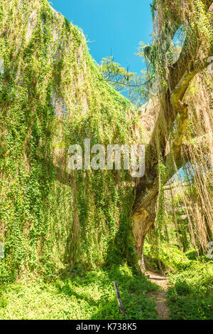 Almendares Park in the Great Metropolitan Park (Gran Parque ...