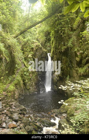 Dalegarth Falls, Eskdale, Lake District,UK Stock Photo - Alamy