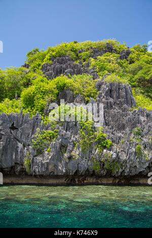 Philippines, Palawan, Taytay Bay, Nabat Island, coral reef Stock Photo ...