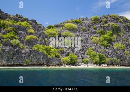 Philippines, Palawan, Taytay Bay, Nabat Island, coral reef Stock Photo ...