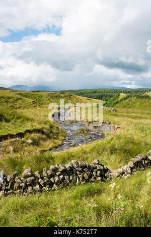 Galloway Forest Park with dramatic skies Stock Photo - Alamy