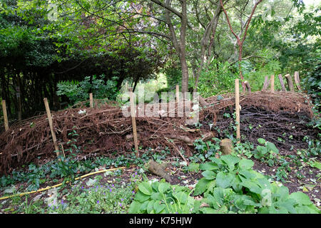 Dead Hedge under construction as a means to create a wildlife corridor ...