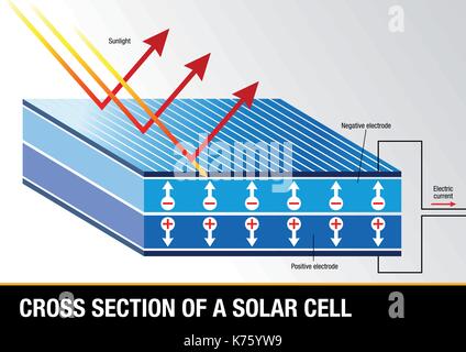 Illustration of glass layers. Cross section double glazed window Stock ...
