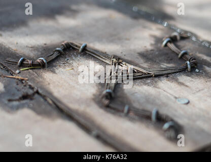 Triskelion, the symbol of Isle of Man, three legs joined at the thigh ...