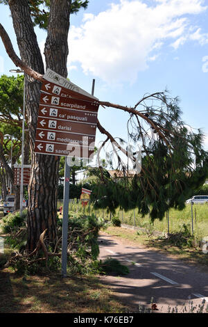destruction sign camping after storm tornado street tree damage Stock ...