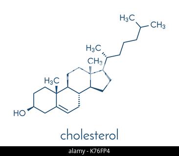 Cholesterol Molecule In Cell Membrane