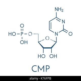 Cytidine RNA building block molecule. Skeletal formula Stock Vector ...