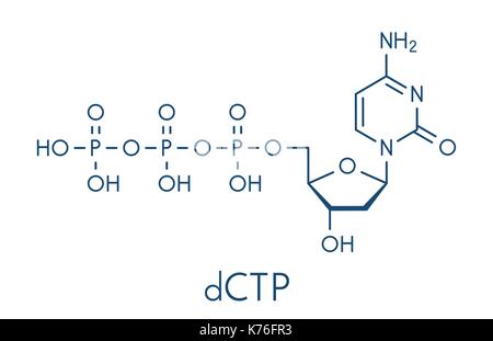 Deoxycytidine triphosphate (dCTP) nucleotide molecule. DNA building ...