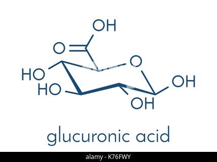 Glucuronic acid molecule. Glucuronidation of xenobiotics plays role in ...