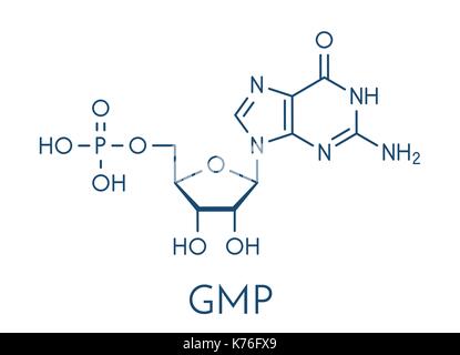 Guanosine monophosphate (GMP, guanylic acid) RNA building block ...