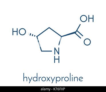 Hydroxyproline (Hyp) amino acid. Essential component of collagen ...