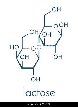 Chemical structure of lactose, a milk sugar molecule. Lactose is the ...