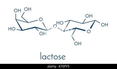 Chemical structure of lactose, a milk sugar molecule. Lactose is the ...
