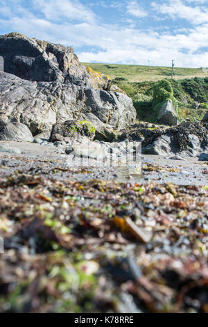 Rock pool on beach at Lendalfoot Girvan Scotland Stock Photo - Alamy