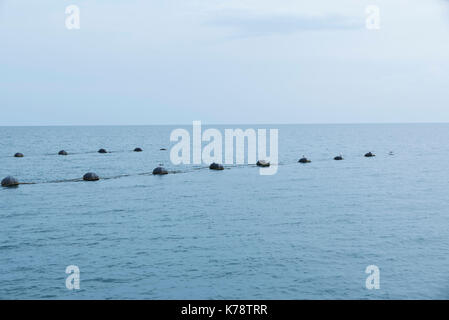 Raft culture of mussels Stock Photo - Alamy