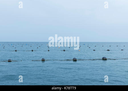 Raft culture of mussels Stock Photo - Alamy