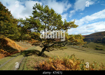 Cwmtillery Reservoir formally the Cwmtillery Colliery site near ...
