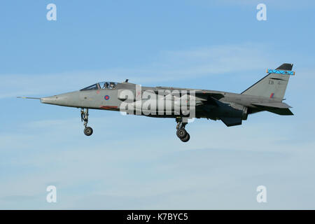 RAF Jaguars from 6 Squadron, RAF, the last remaining UK Jaguar unit ...