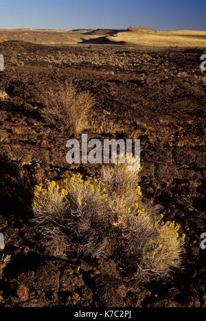 Lava Pit Crater Flow, Diamond Craters Outstanding Natural Area, Diamond ...