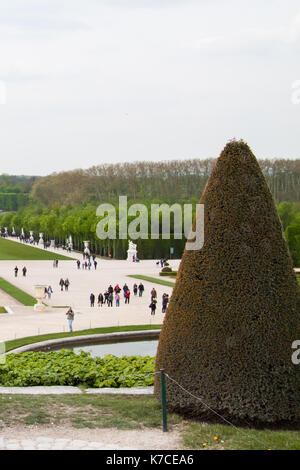 Vase and green in the gardens of Chateau of Versailles Stock Photo - Alamy