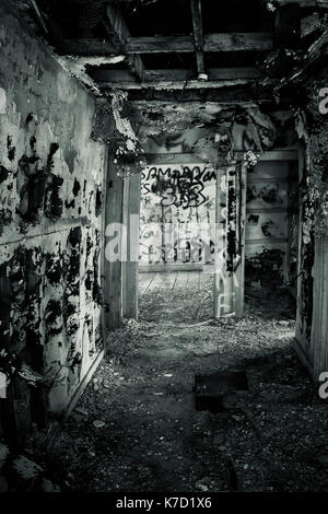 scary ghost in abandoned building at night Halloween background Stock ...